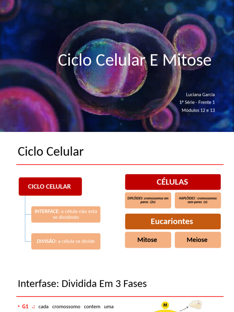 1Â SÃ RIE - AULA 7 - Ciclo Celular e Mitose | PDF