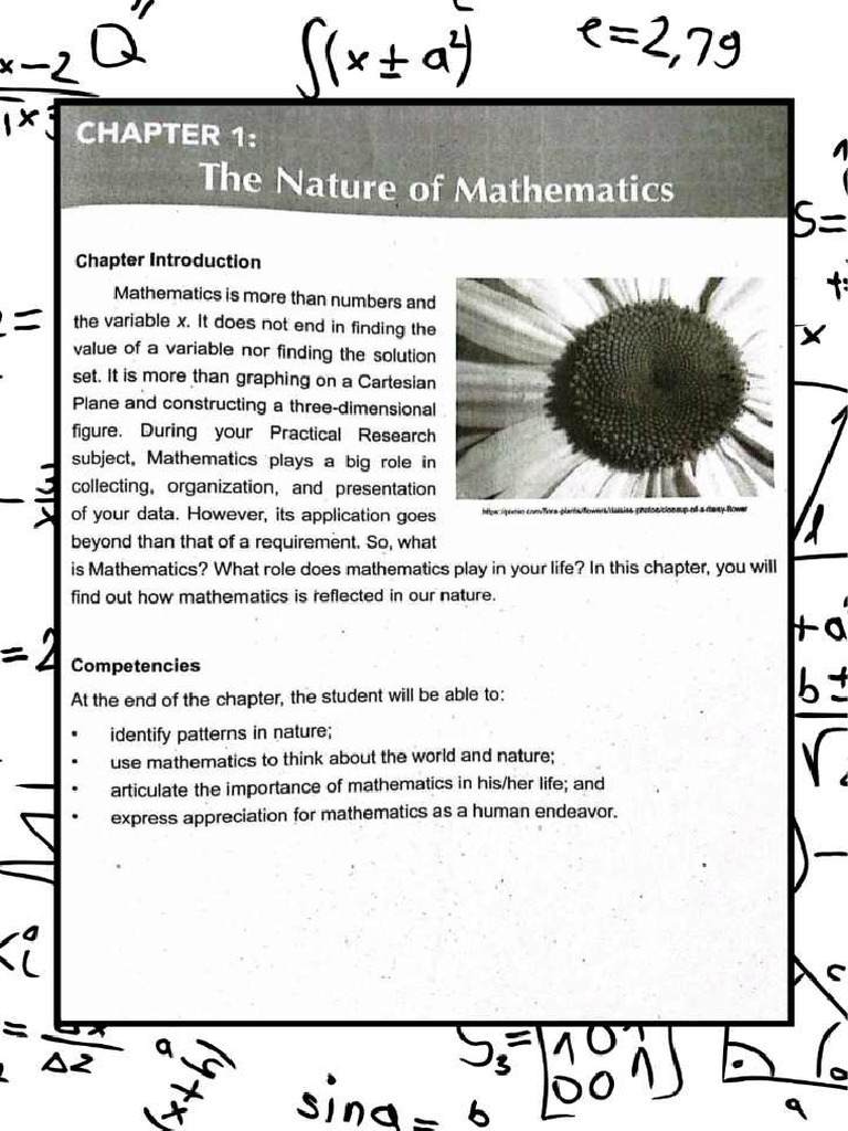 CHAPTER 1 - LESSON 1 (Mathematics in Nature) | PDF