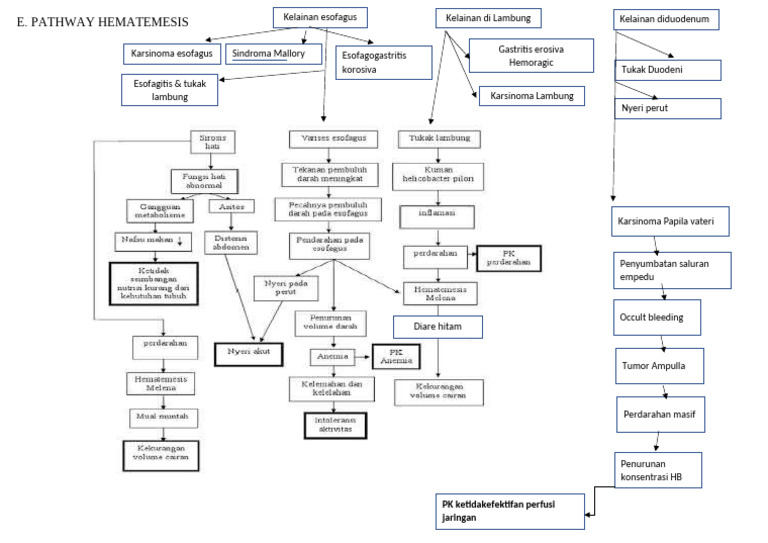 Revisi Pathway HM1 | PDF