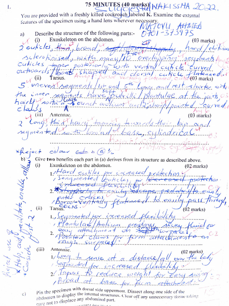 Wakissha Bio 3 Guide | PDF