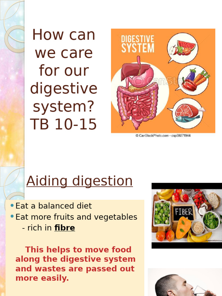 Caring For The Digestive System Science p4 | PDF