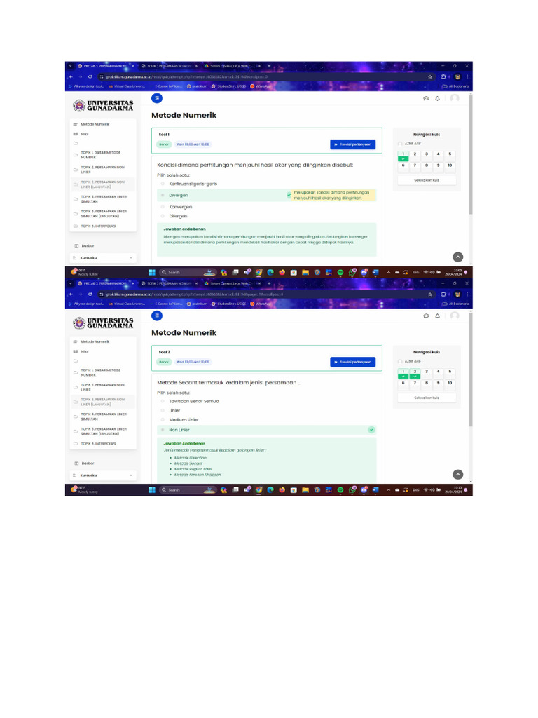 Numerik 3 Ilab | PDF