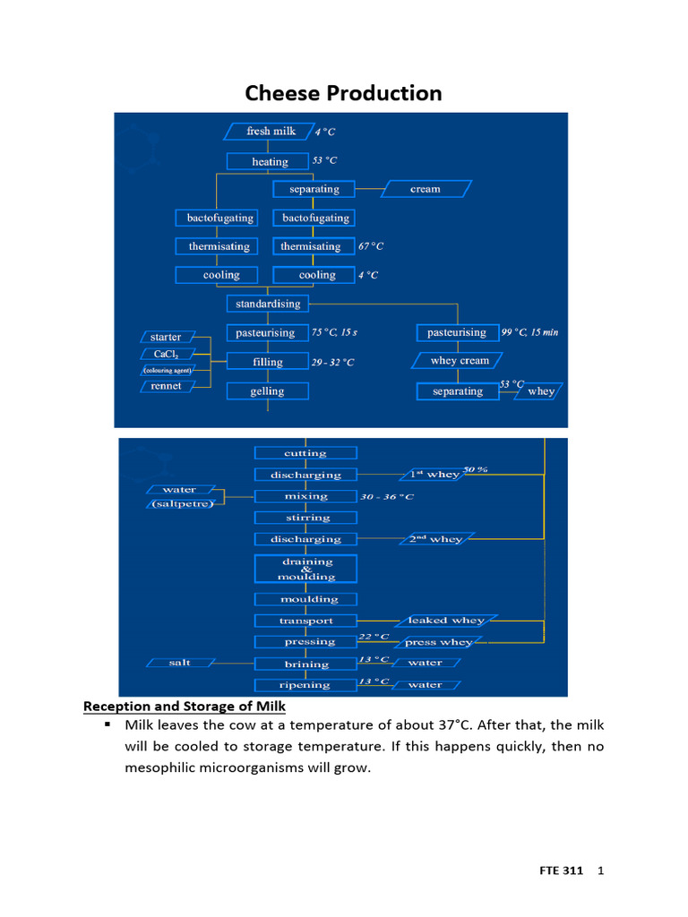 Cheese Ripening | PDF