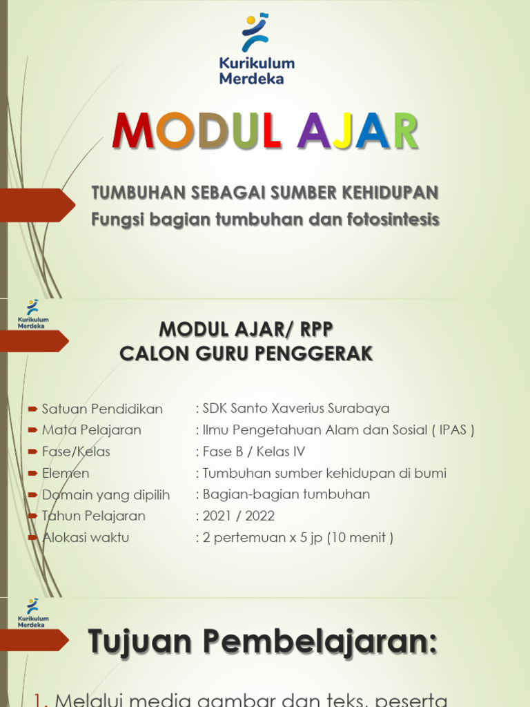 Modul Ajar CGP Ipas | PDF