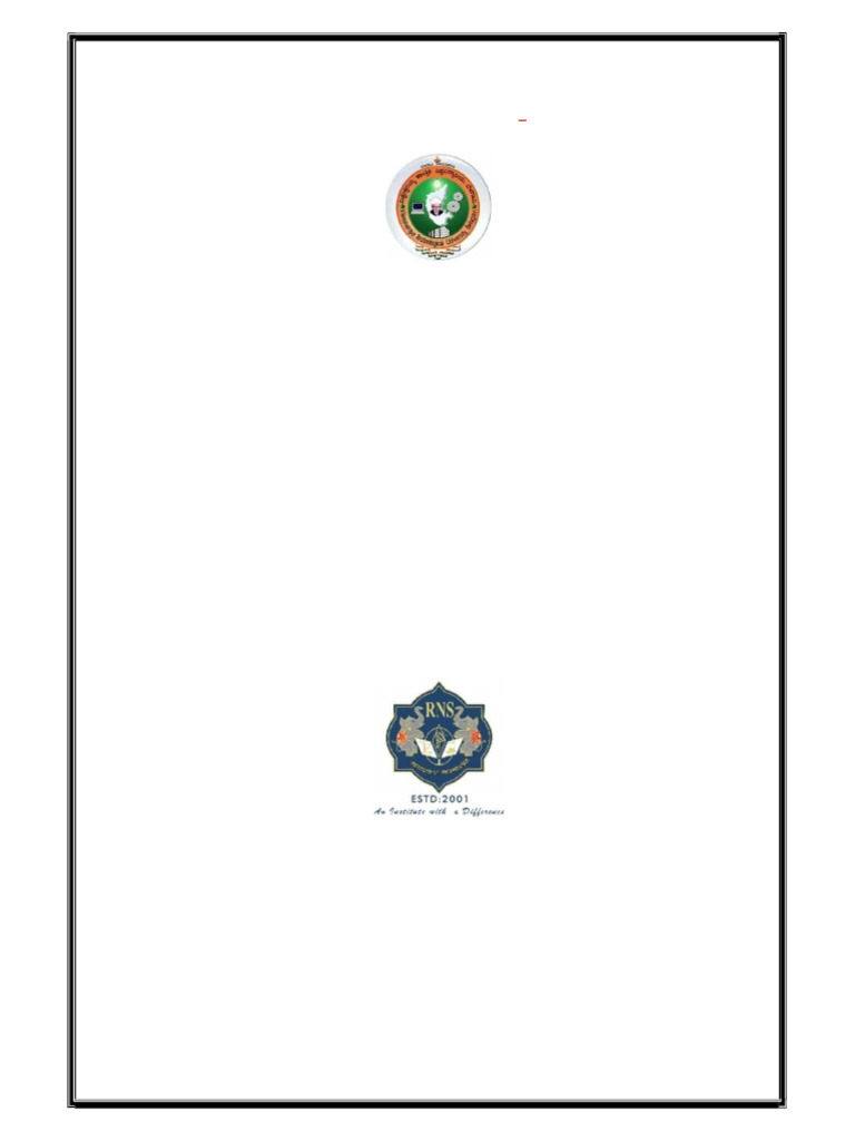 Phase 1 Final Report | PDF