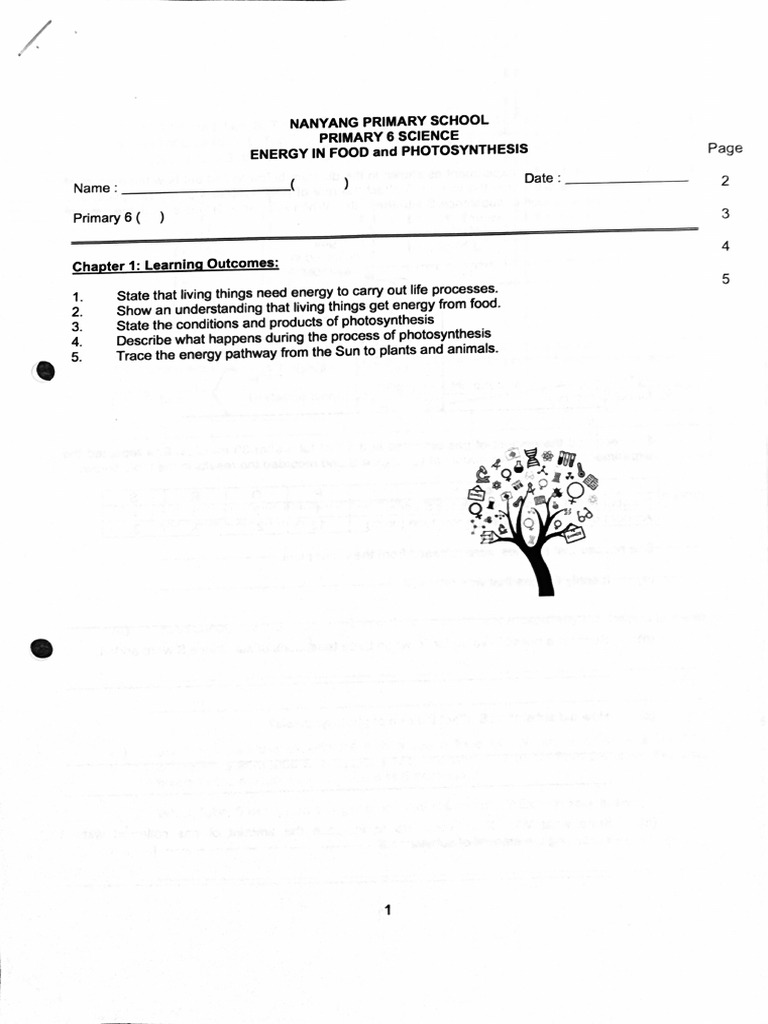 P6 Science Worksheet | PDF