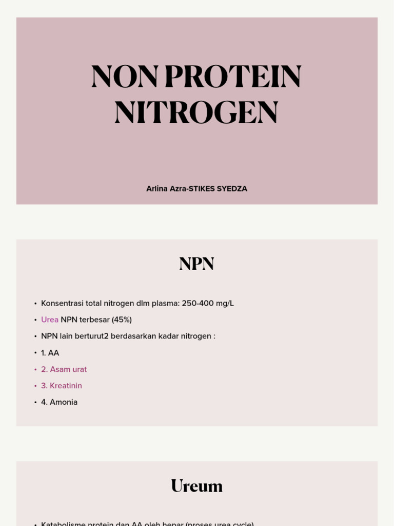 NPN KK1 | PDF