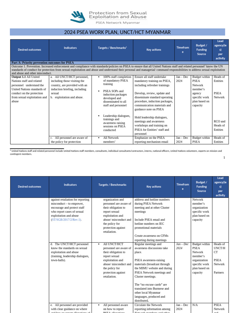 2024 PSEA Work Plan | PDF