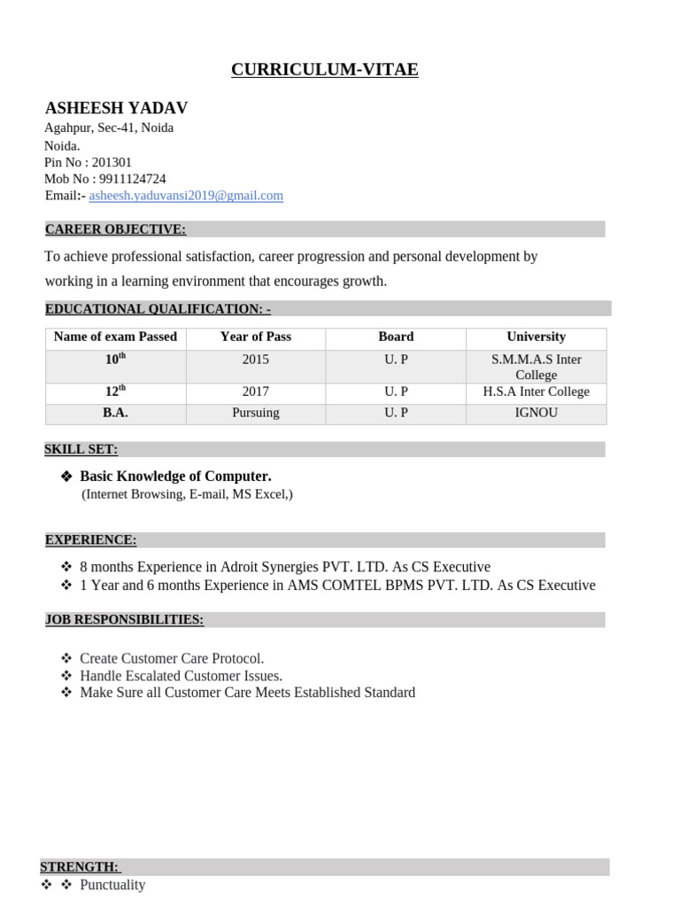 Asheesh Yadav CV 2 | PDF