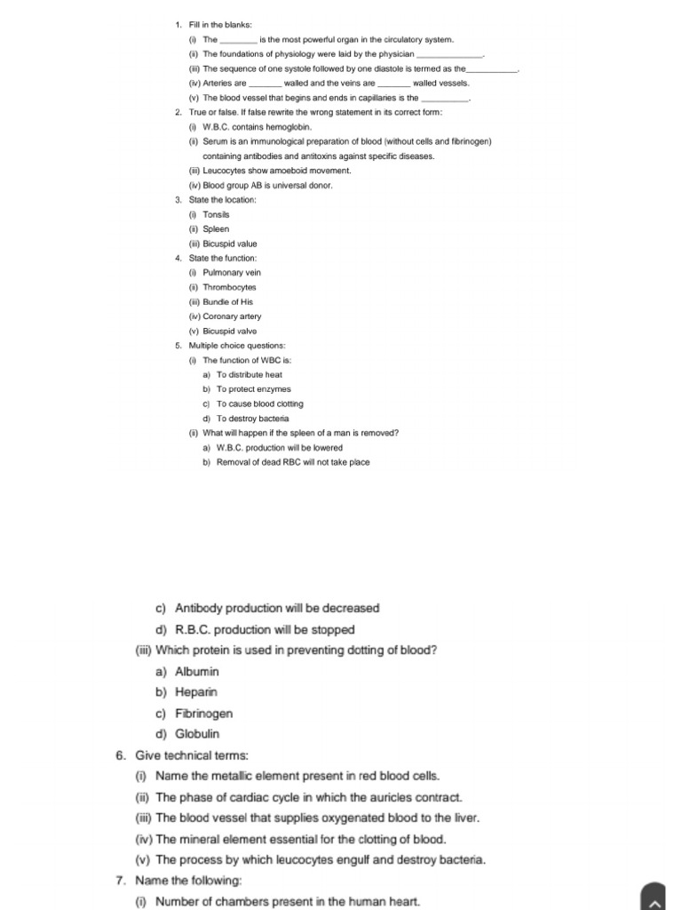 Circulatory System | PDF