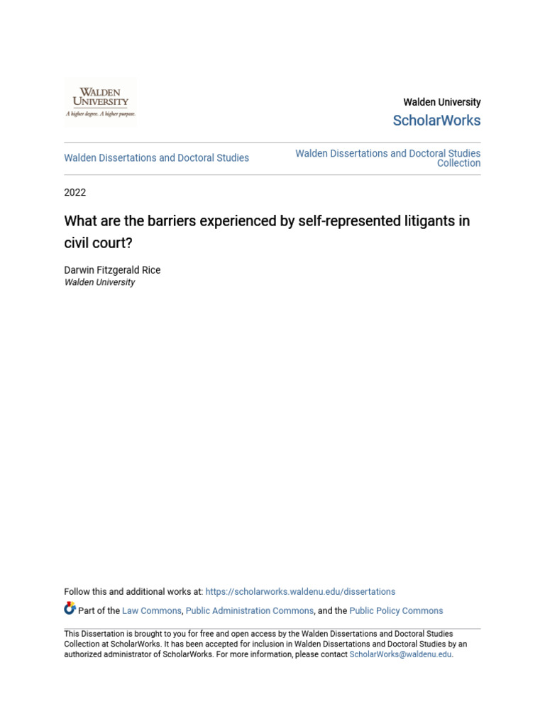 What Are the Barriers Experienced by Self-represented Litigants i | PDF