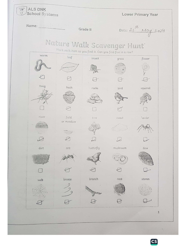 Grade 2 Science Solved Worksheets | PDF