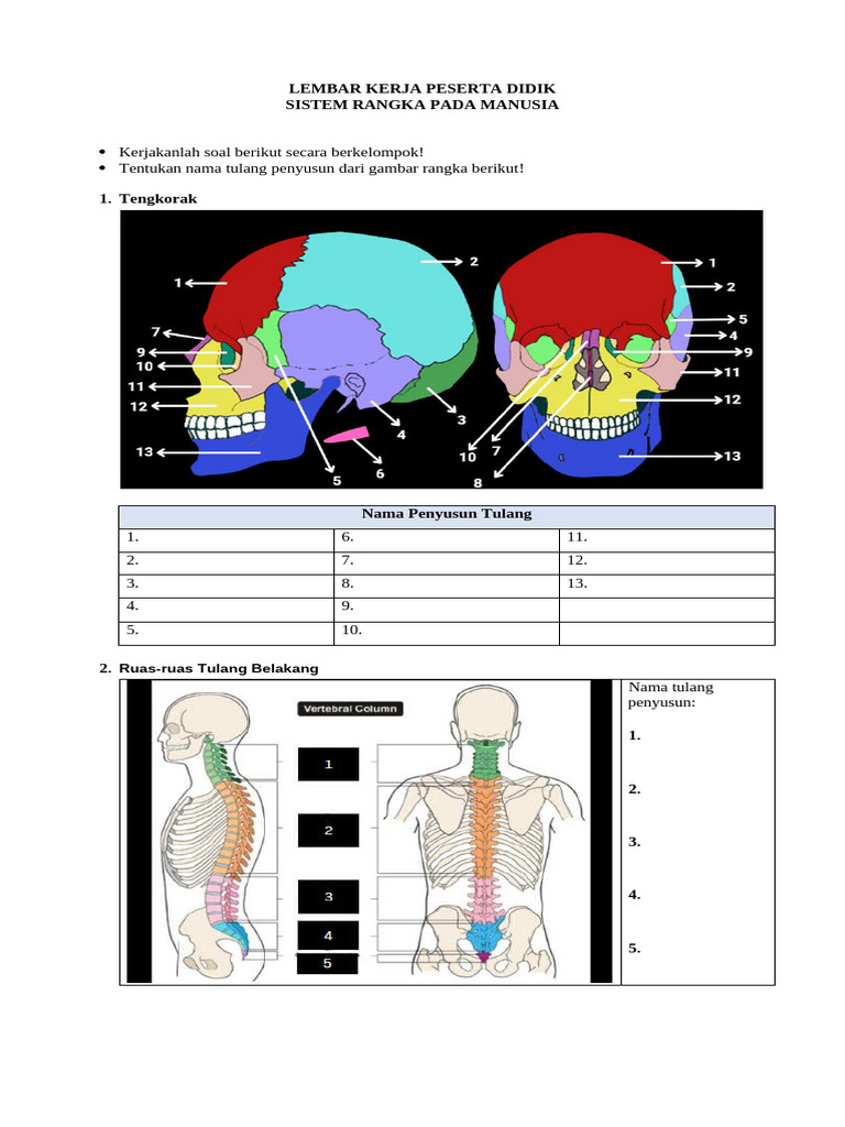 LKPD Sistem Rangka | PDF