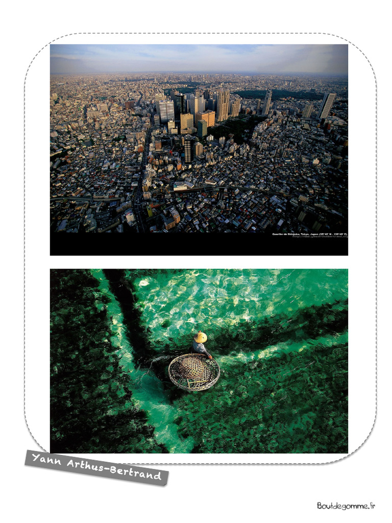Yann Arthus Bertrand Fiche Art | PDF