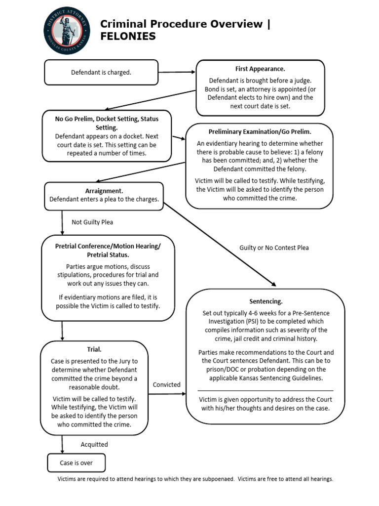 Criminal Procedure Flowchart | PDF