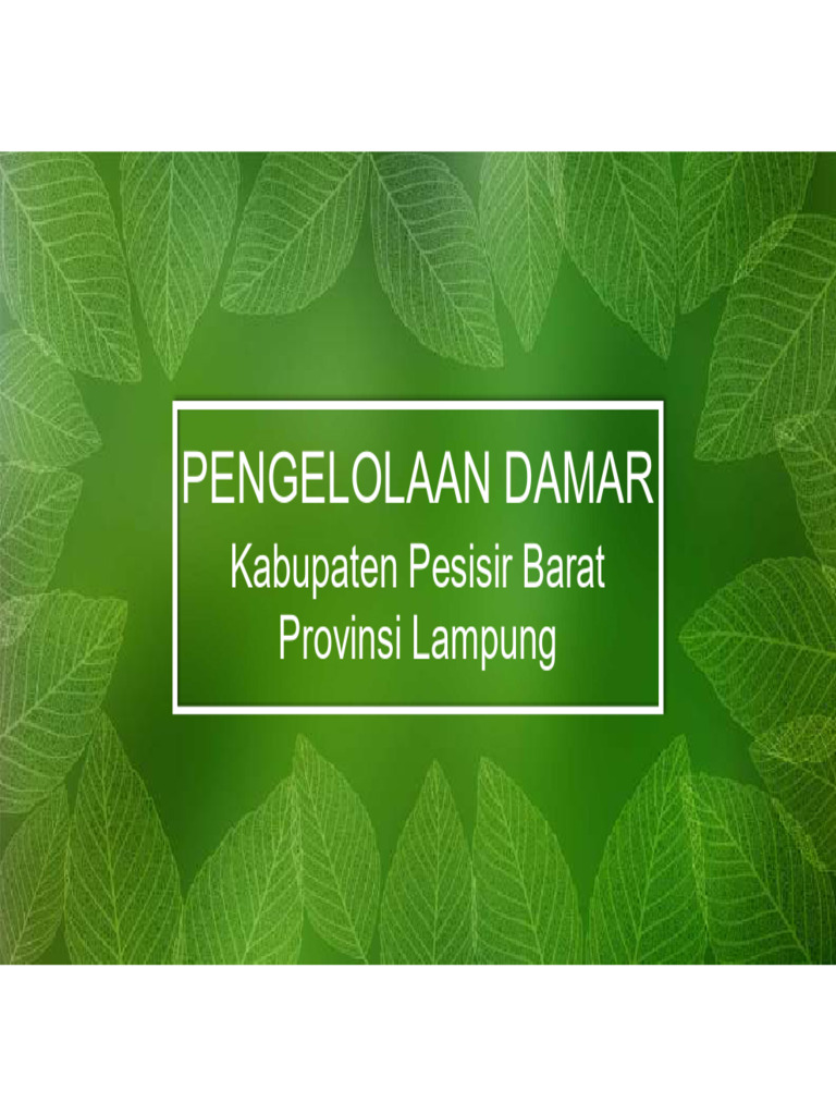 Pengelolaan Damar Kab. Pesbar | PDF
