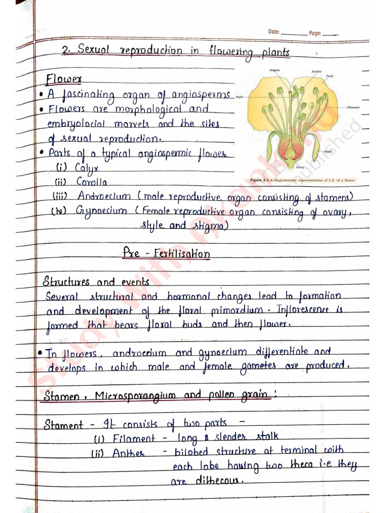Sexual Reproduction in Flowering Plants | PDF