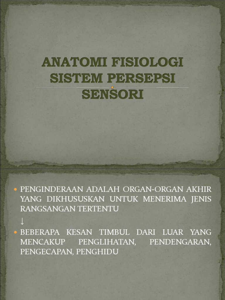 Persepsi Sensori | PDF