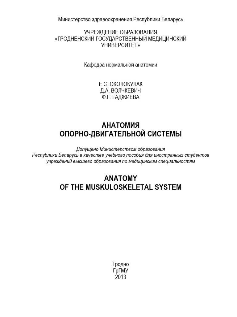 Anatomy 1 GrSMU | PDF