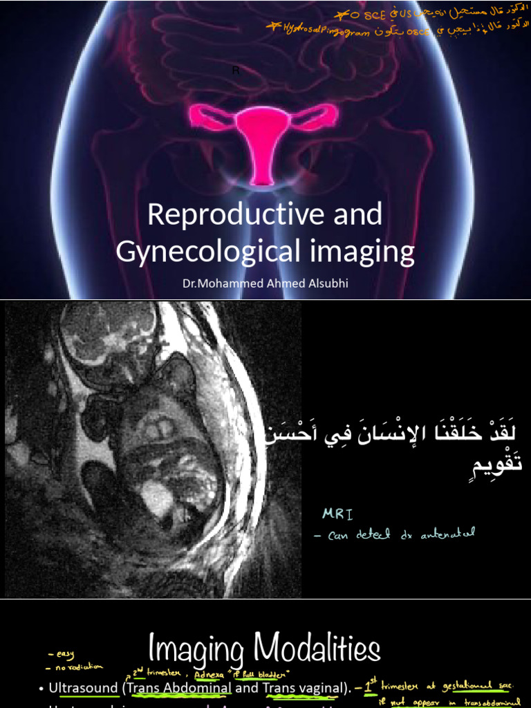 ? L23 - Radiology of The Reproductive System | PDF | Uterus | Science ...