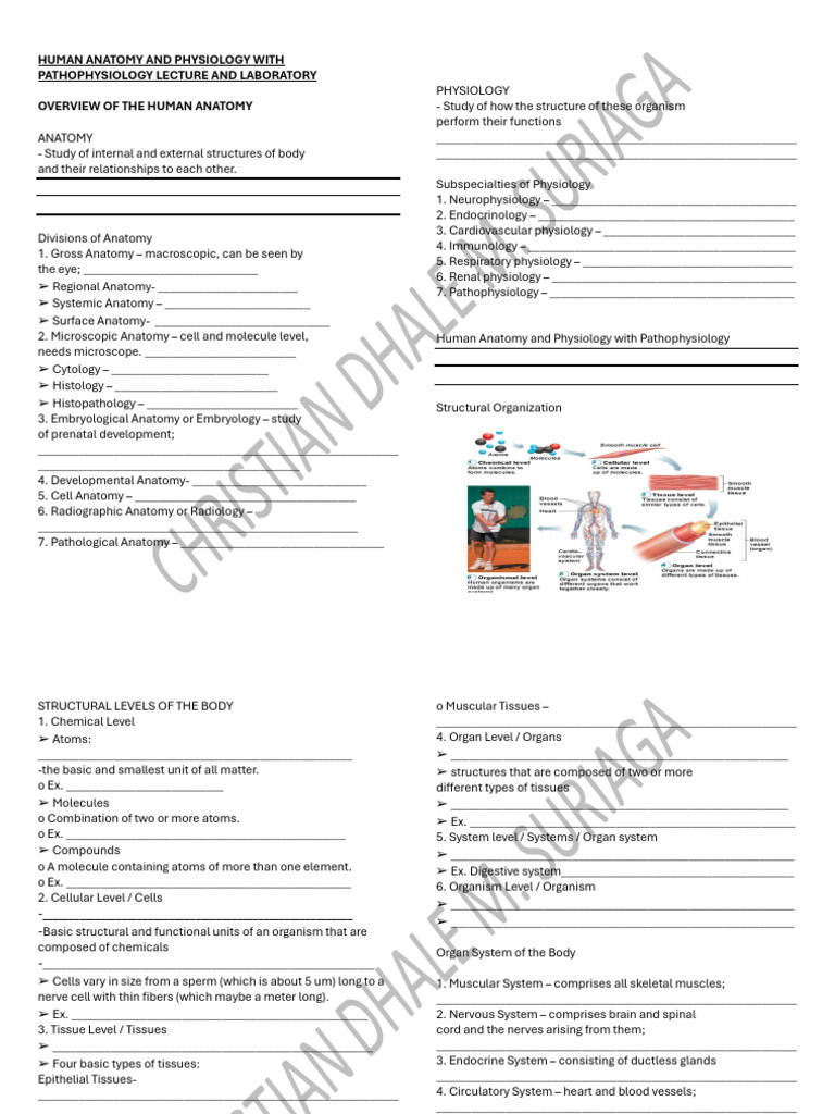 Intro To AnaPhy | PDF