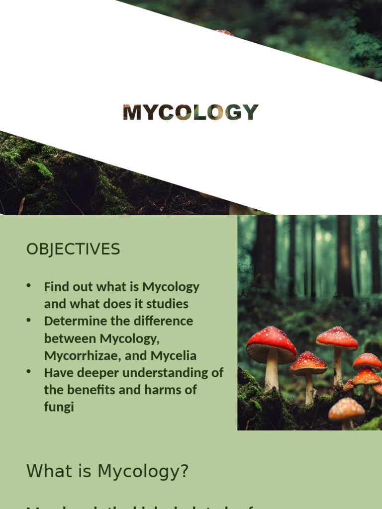 Mycology Reporting | PDF