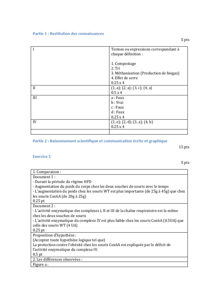 Examen Correction Formatted | PDF