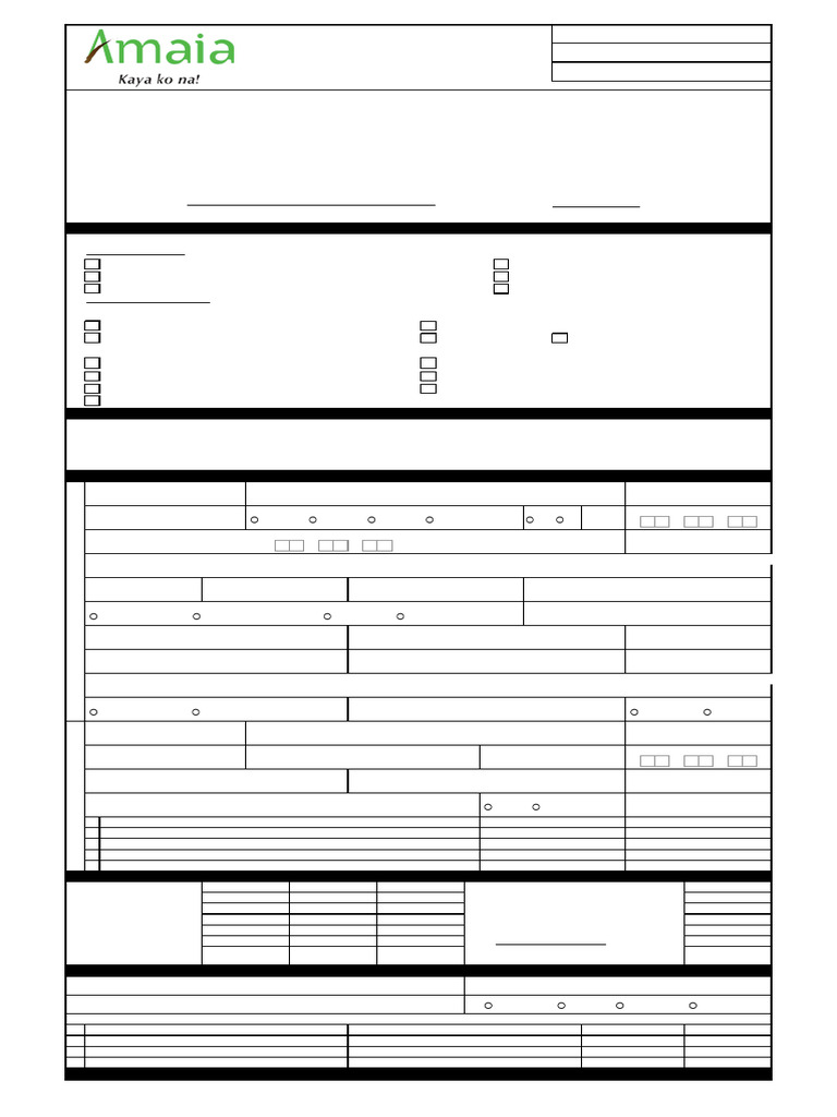 Revised IPA Template - Amaia | PDF