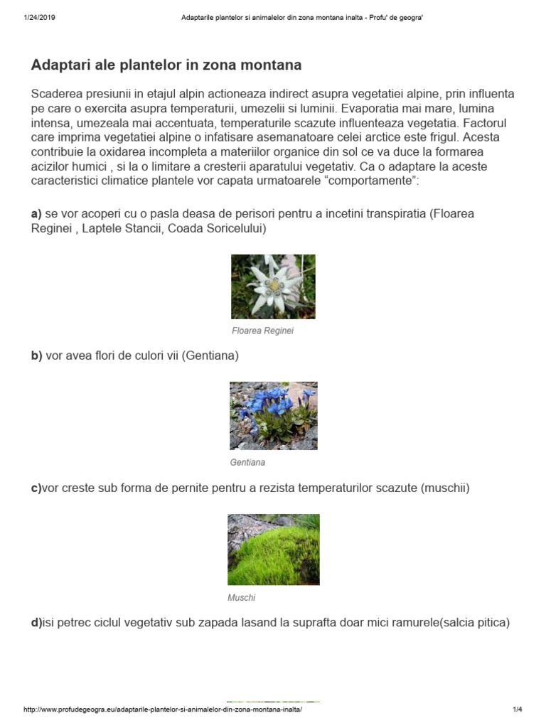 Adaptarile Plantelor Si Animalelor Din Zona Montana Inalta - Profu' de ...