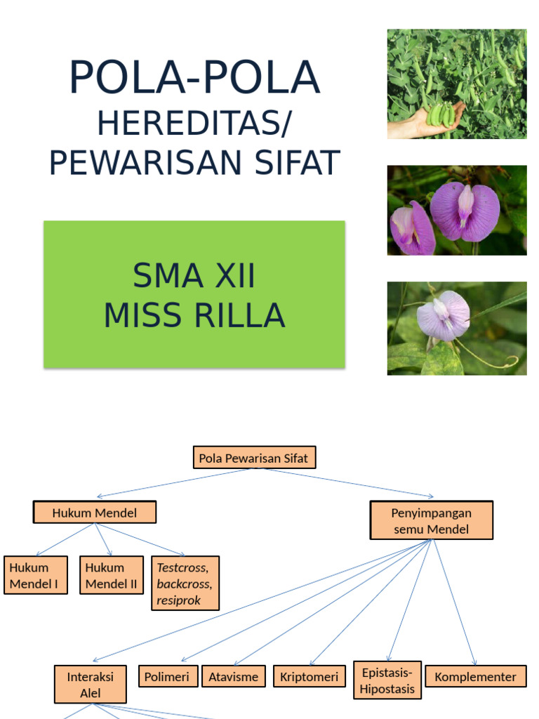 Pola Pola Hereditas | PDF