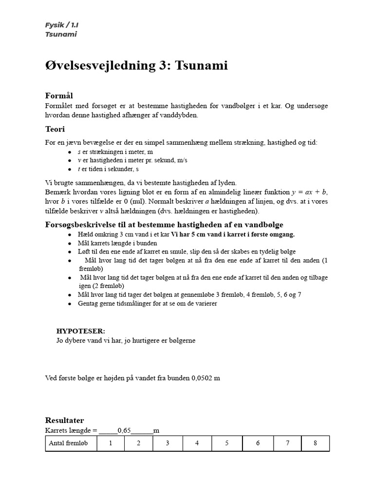 Tsunami Journal | PDF