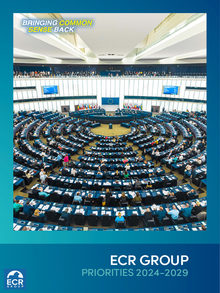 EN ECR-Priorities 2024-2029 | PDF