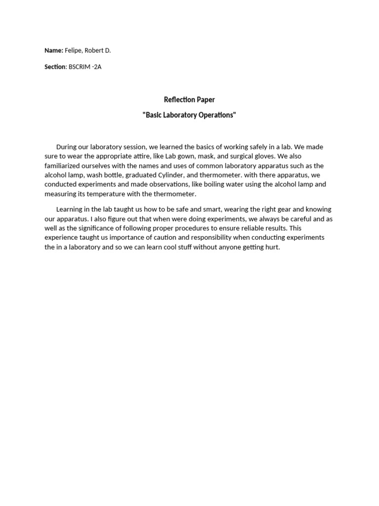 Reflection Paper | PDF