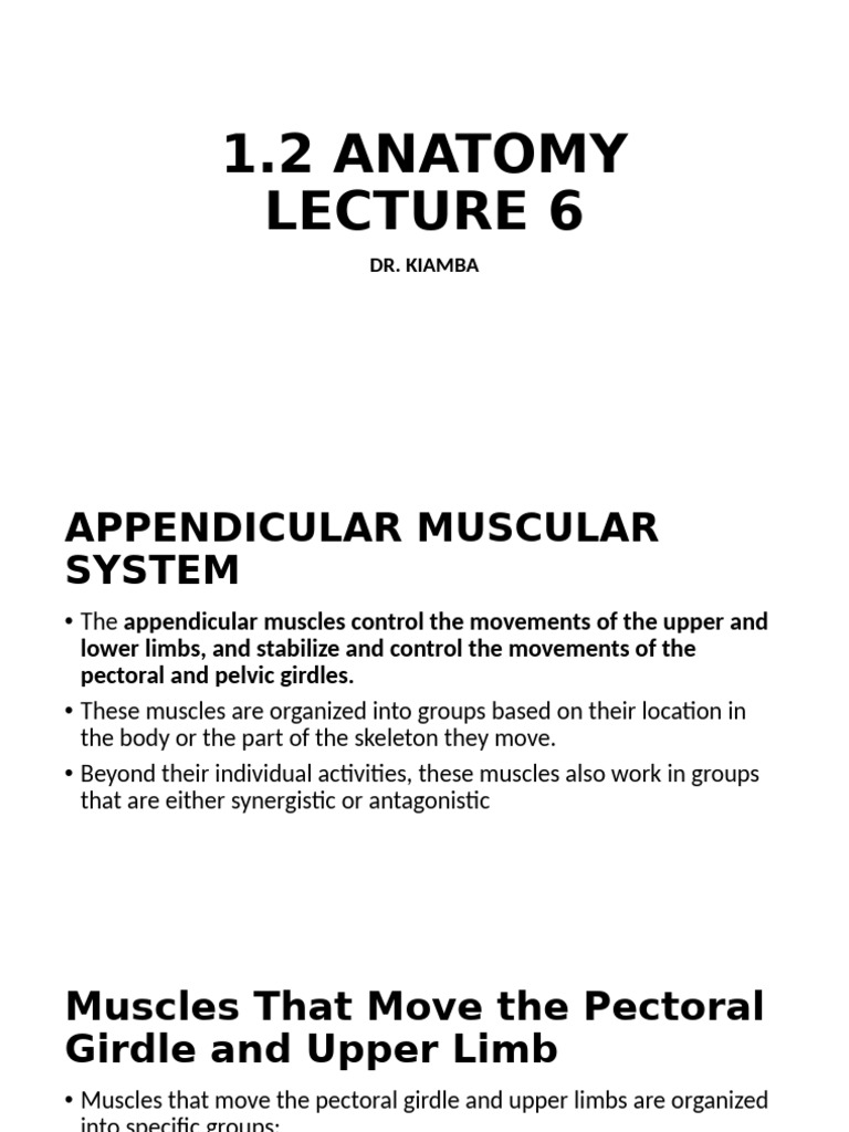 1.2 Anatomy Lec 6 | PDF