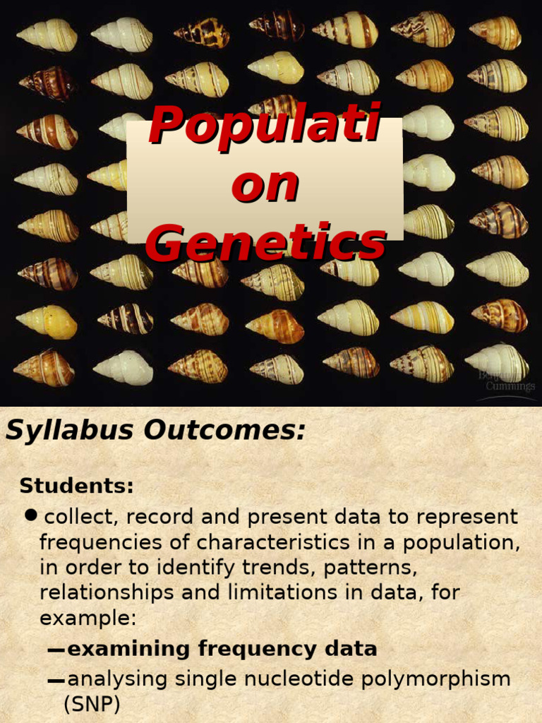 1 Population Genetics | PDF