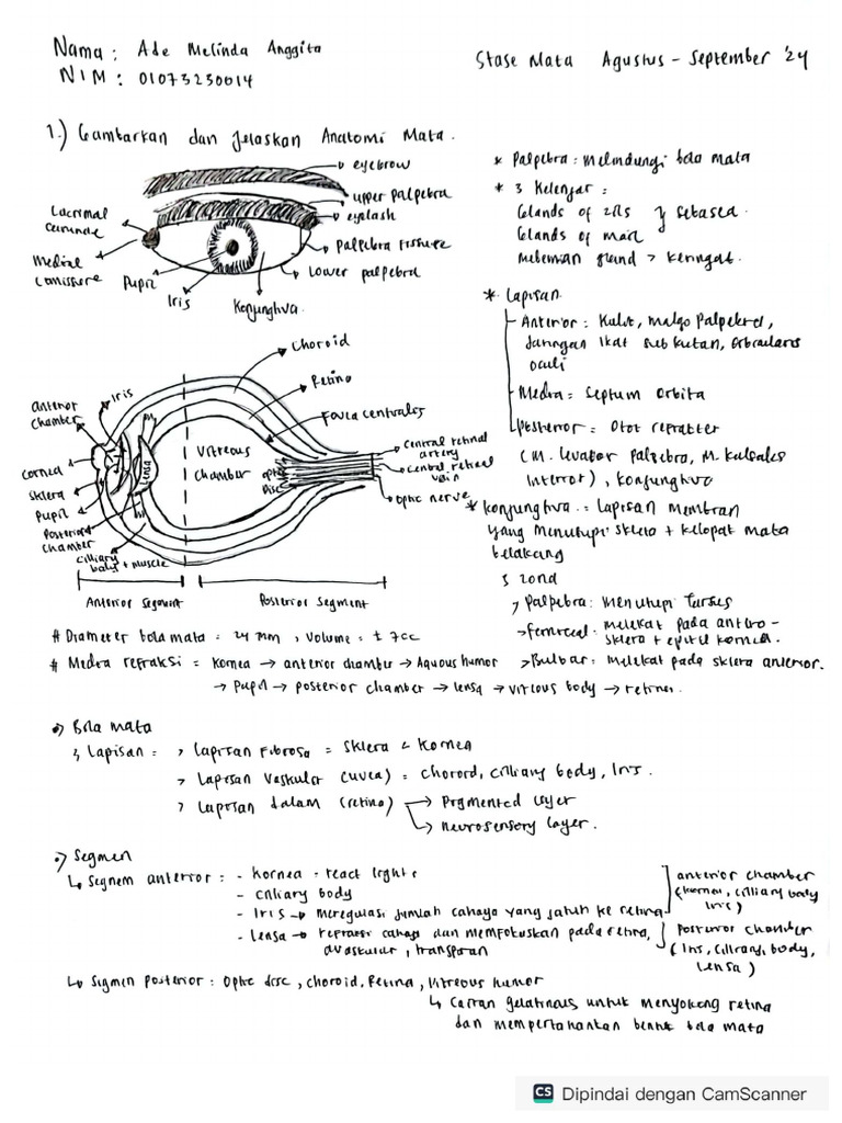 Pre Test Mata - Ade Melinda Anggita - 01073230014 | PDF