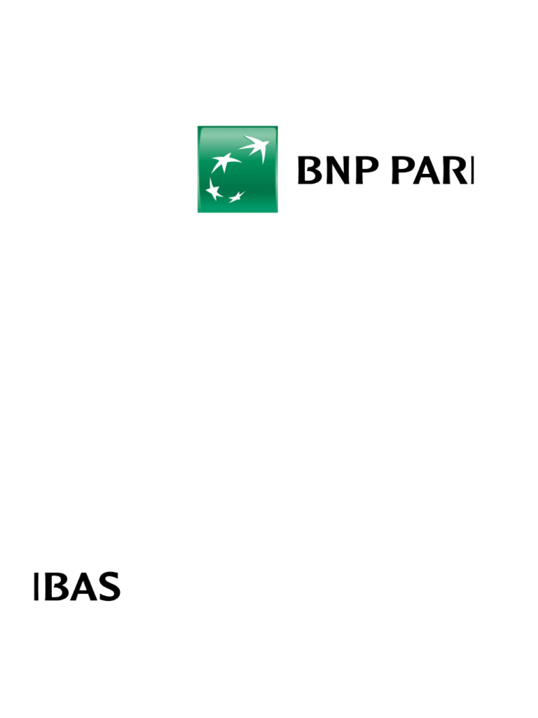 Finance Bank BNP | PDF