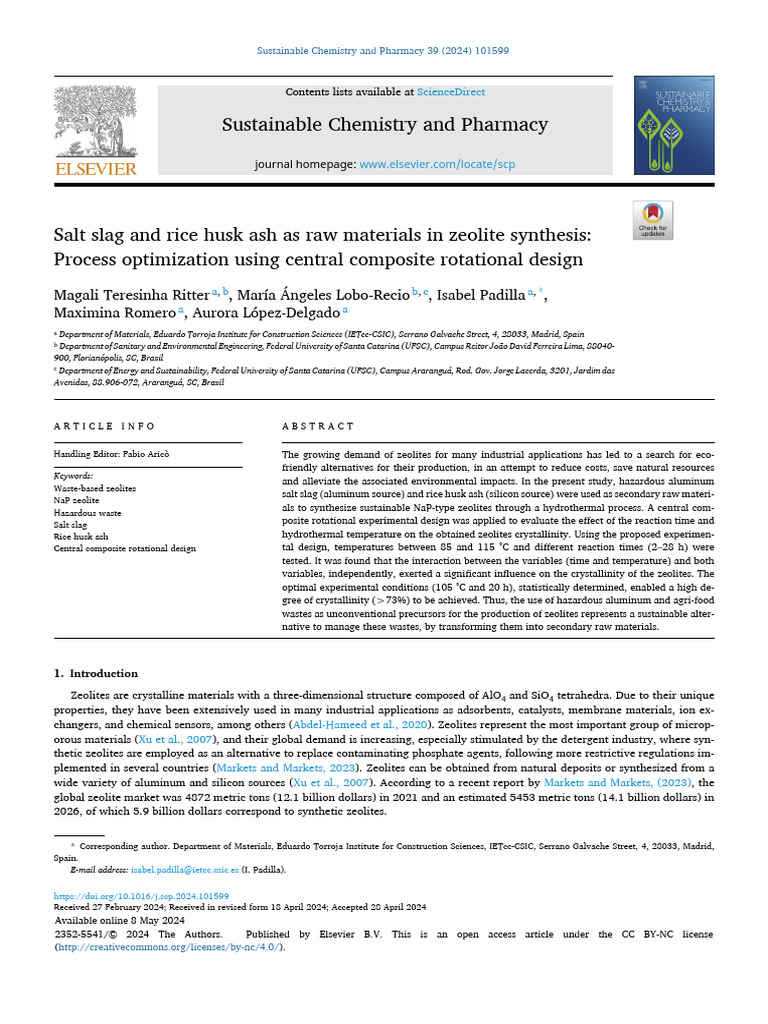 Salt Slag and Rice Husk Ash As Raw Materials in Zeolite Synthesis ...