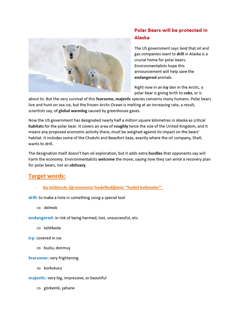 Advanced 2 - Polar Bears | PDF