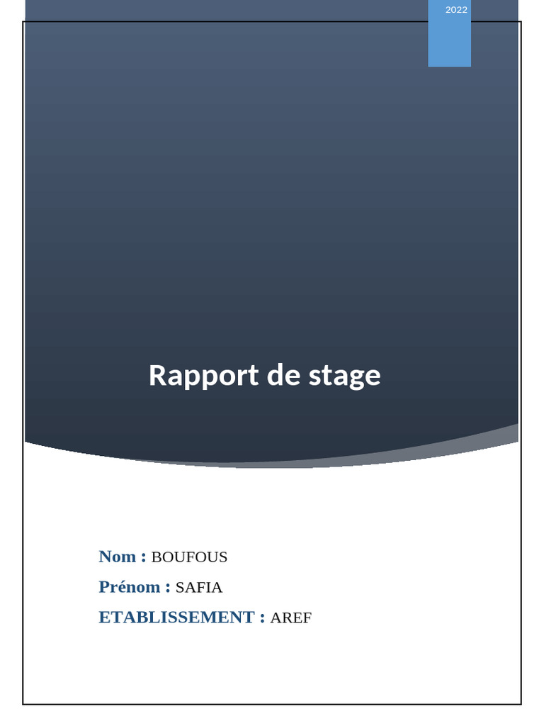 RAPPORT | PDF