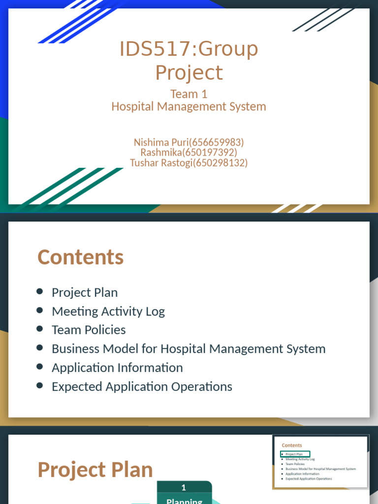 IDS 517 Group Project 2 | PDF