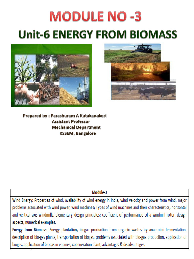 BIOMASS ENERGY | PDF