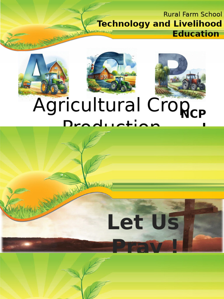 Acp-Week 5 - Safe Work Practices | PDF