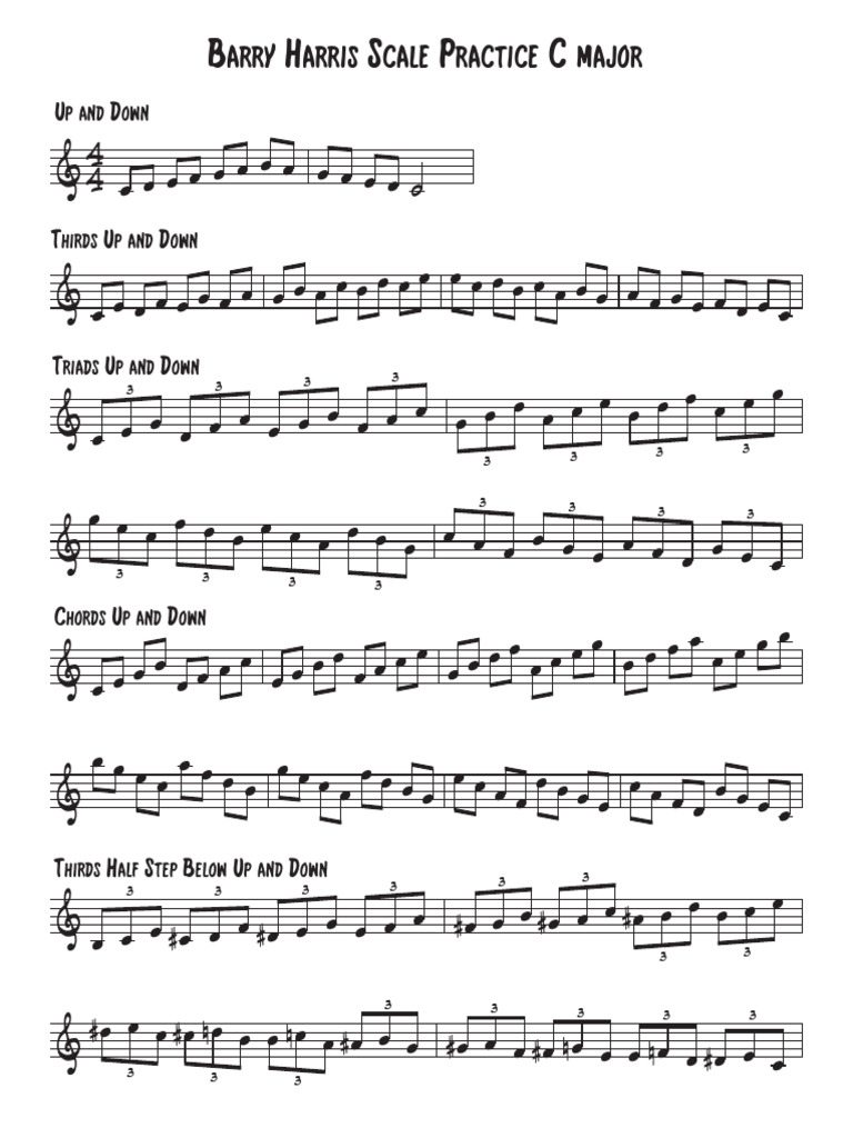 BH Scale Practice Major | PDF