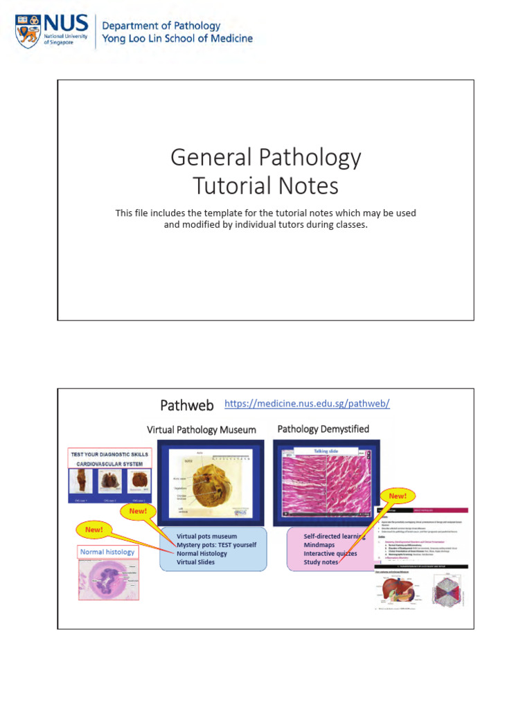 2024 - General Pathology - Cell Damage Adaptation PPT 2024 Student Copy 1 | PDF