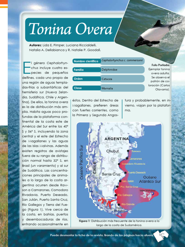 Tonina Overa LA LUPA | PDF