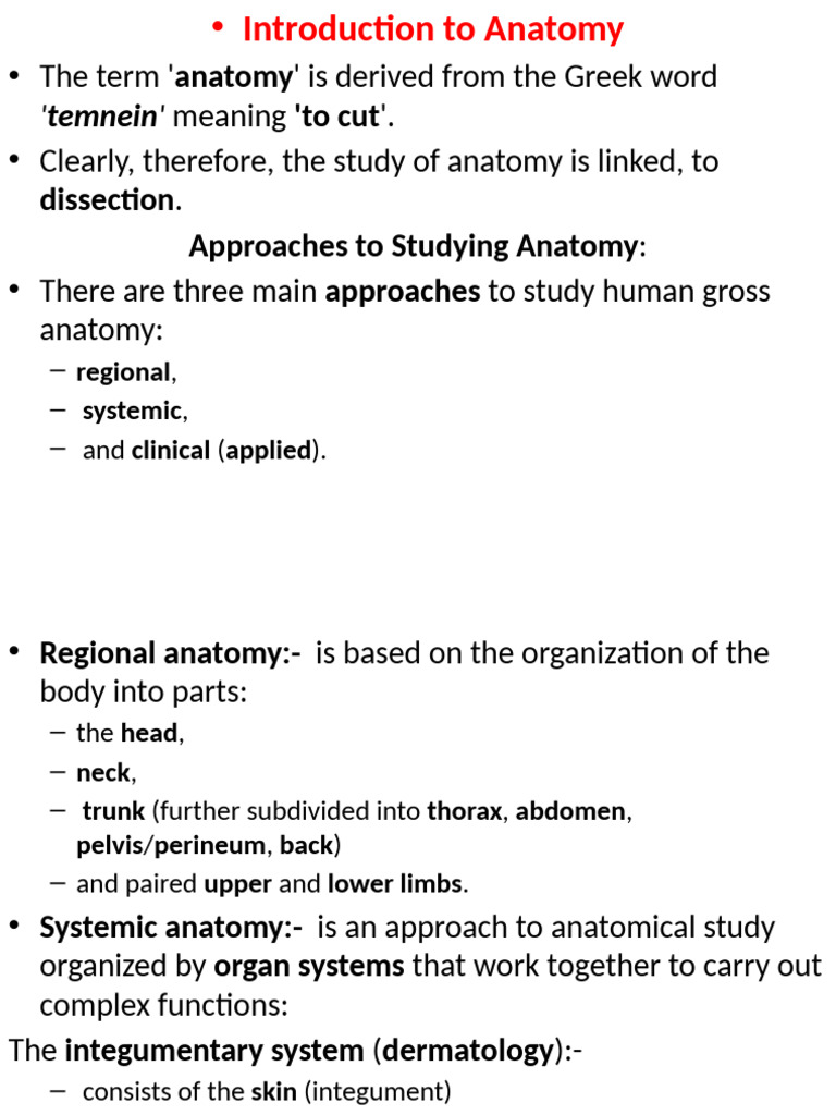 Anatomy 1 | PDF