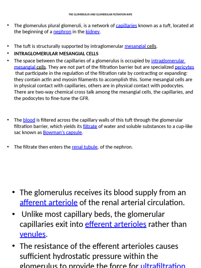 Renal Note 3 PP | PDF