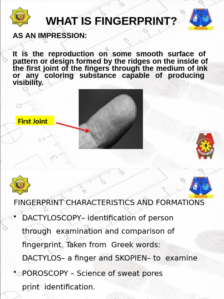 11.4 Dactyloscopy What Is Fingerprint | PDF | Fingerprint | Home & Garden
