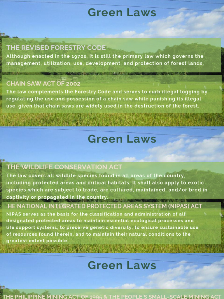 Environmental Laws in The Philippines-10 | PDF